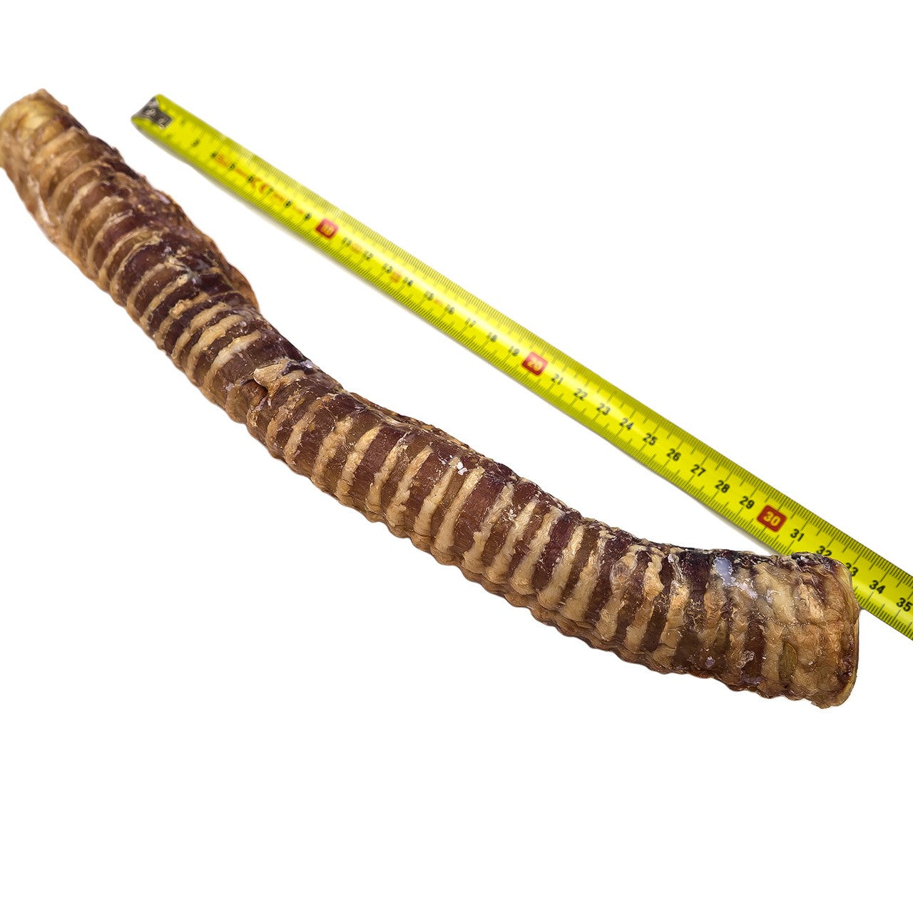 Large Beef Trachea (single piece) – RawFedPets